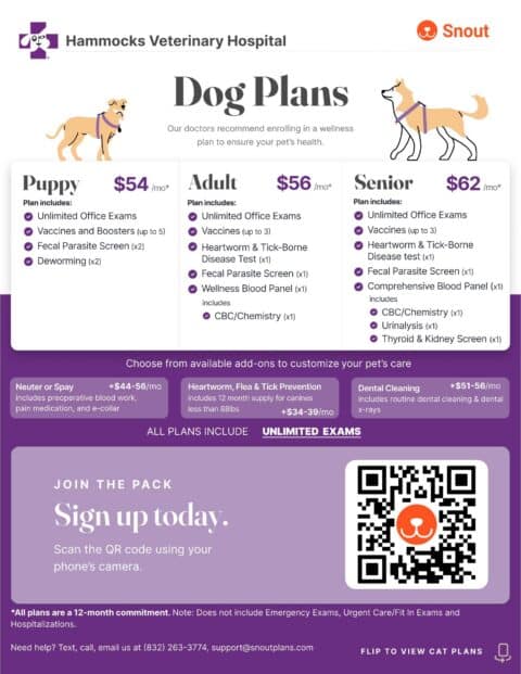 Snout Wellness Plans | Hammocks Veterinary Hospital